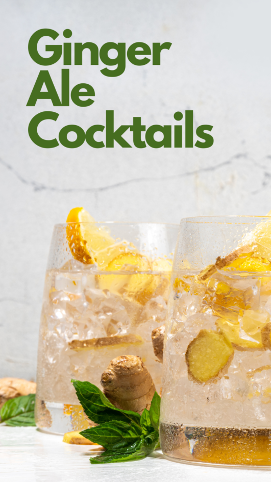 14 Best Ginger Ale Cocktails to Drink