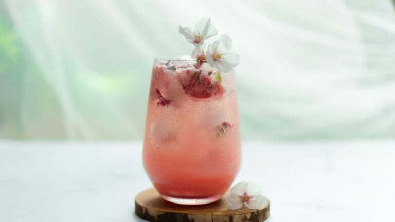 12 Best Cherry Cocktails to Drink in 2023 - MyBartender