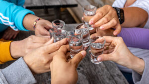 Everything You Need to Know About Chopin Vodka - MyBartender