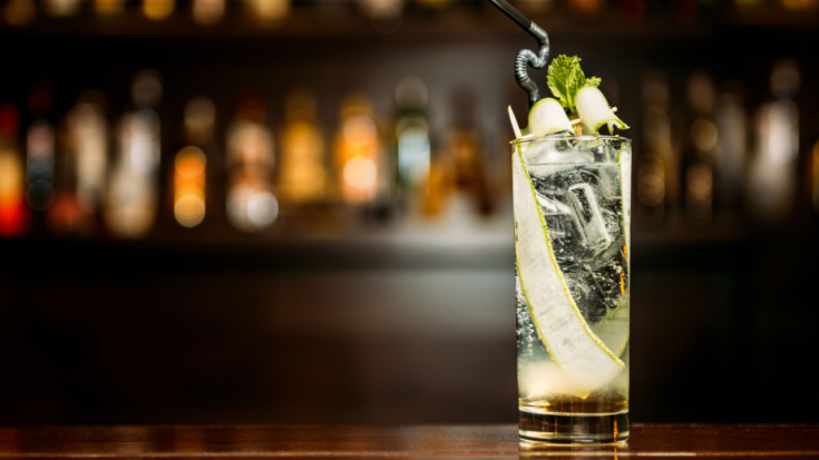 12 Best Club Soda Cocktails To Drink