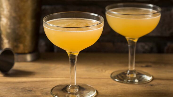 10 Best Hennessy Cocktails to Drink in 2023 - MyBartender