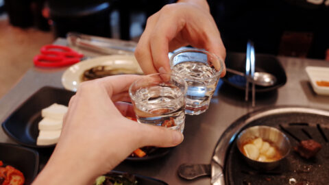 Top 8 Shochu Cocktails to Enjoy in 2023 - MyBartender