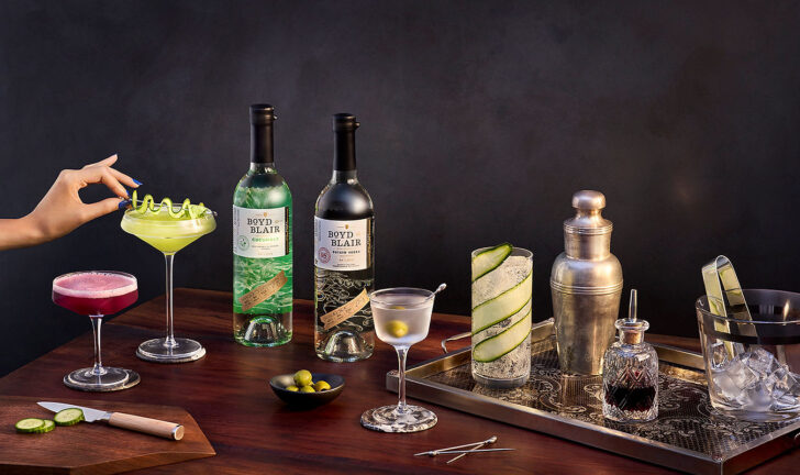 10 Strongest Vodkas To Try