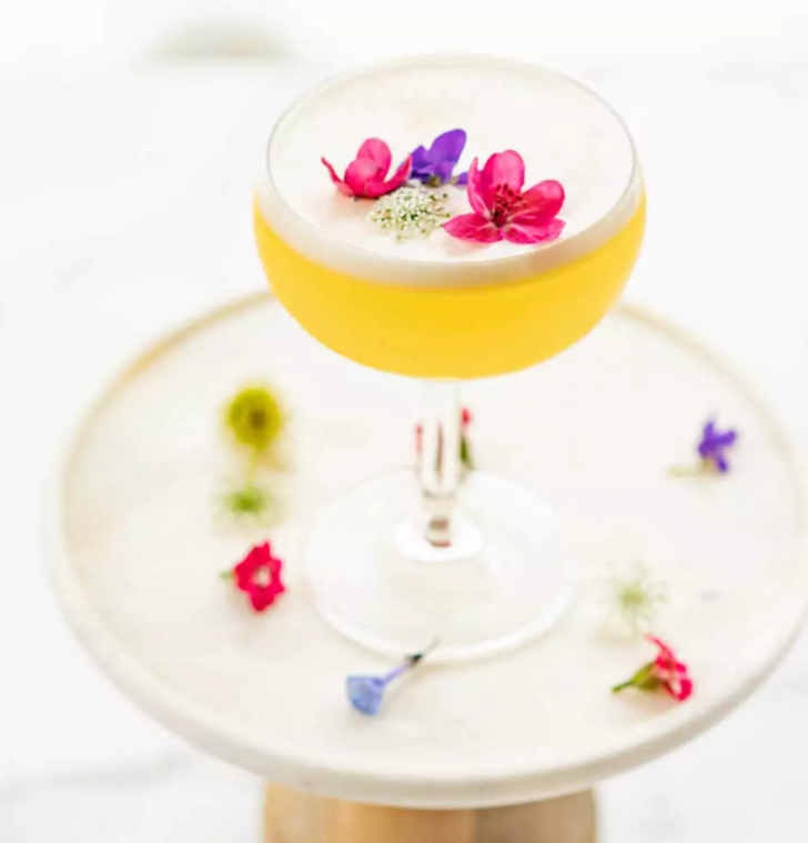 15 Best Lemon Gin Cocktails to Drink