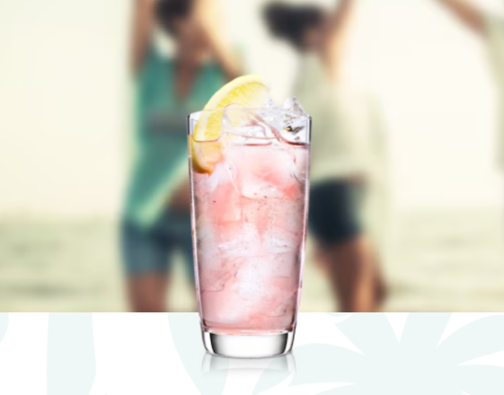 12 Best Malibu Mixers To Try