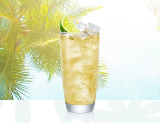 12 Best Malibu Mixers To Try