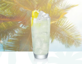 12 Best Malibu Mixers To Try - MyBartender