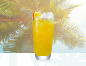 12 Best Malibu Mixers To Try - MyBartender
