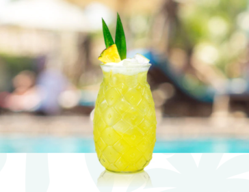 12 Best Malibu Mixers To Try - MyBartender