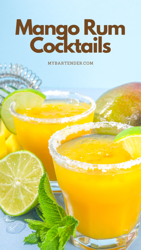 12 Best Mango Rum Cocktails to Drink - MyBartender