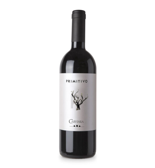 12 Best Italian Red Wines to Try