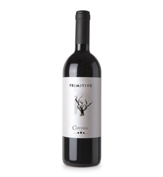 12 Best Italian Red Wines to Try