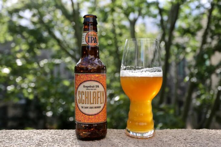 15 Best Grapefruit Beers to Drink