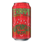 16 Best Watermelon Beers To Try