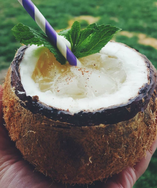 10 Best Coconut Rum Cocktails to Drink