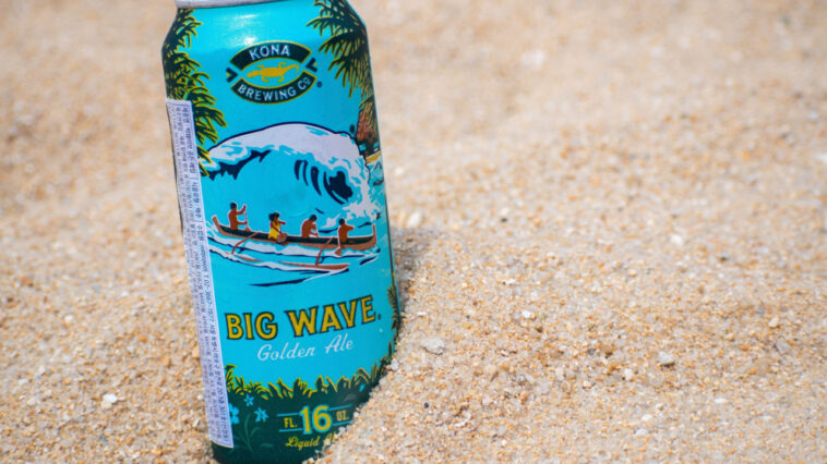 16 Best Beers for the Beach to Try