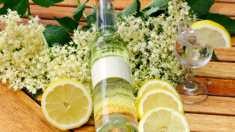 10 Best Elderflower Liqueurs to Try