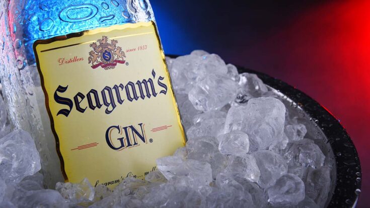 8 Best Seagrams Gin Cocktails to Try