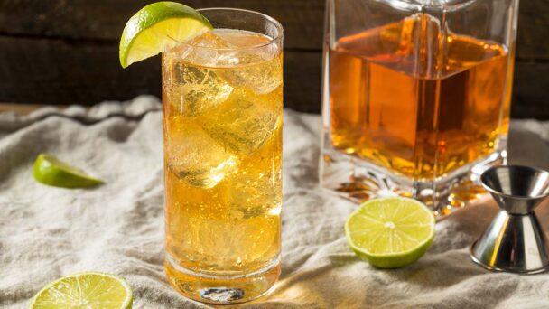 10 Best Fireball Mixers to Try - MyBartender