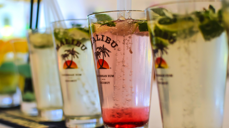 12 Best Malibu Mixers To Try