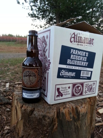 12 Best Blueberry Beers to Drink