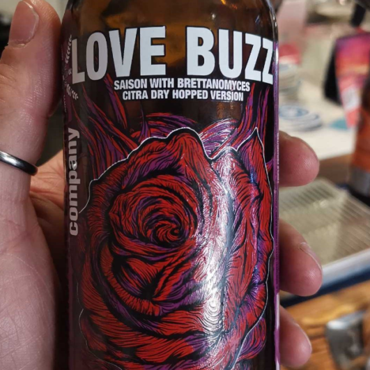 22 Best Saison Beers to Drink