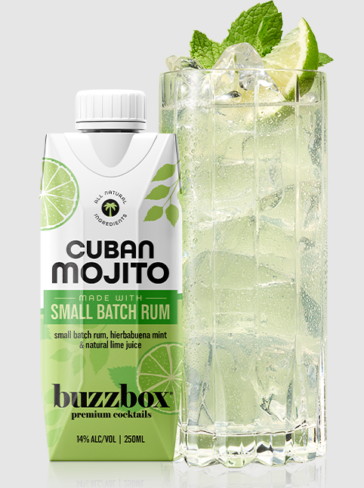 8 Best Ready to Drink Mojitos