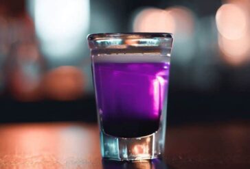 4 Best Grape Vodka Shots to Drink