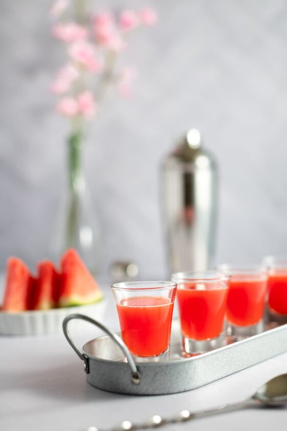 10 Best Watermelon Shots to Drink