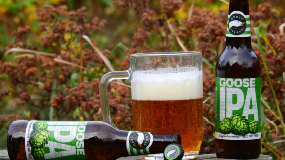 10 Best Beer and Shot Pairings to Try
