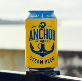 15 Best Beers for Day Drinking