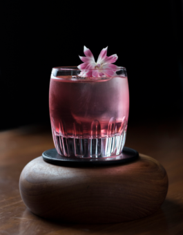 11 Best Clear Cocktails to Try