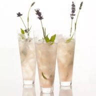 10 Best Lavender Mocktails to Drink