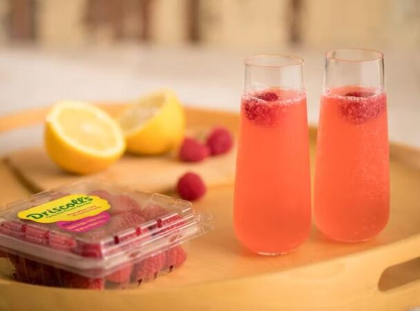 10 Must-Try Raspberry Mocktails