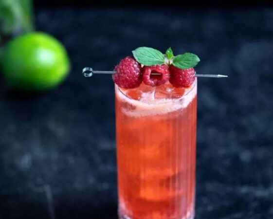 8 Best Raspberry Mocktails to Drink