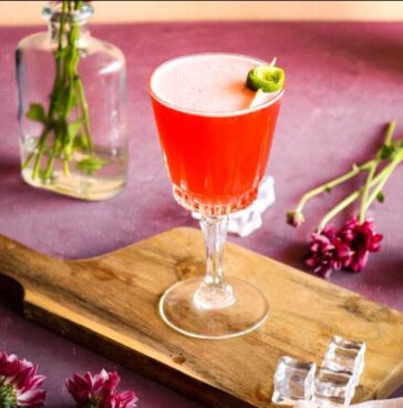 12 Best Rhubarb Cocktails to Drink