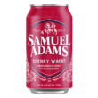 19 Best Sam Adams Beers to Drink