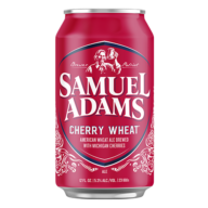 19 Best Sam Adams Beers to Drink