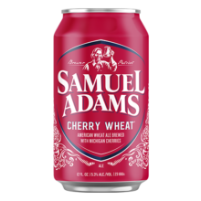19 Best Sam Adams Beers to Drink