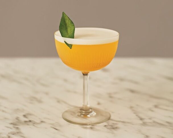 12 Best Seedlip Cocktails to Drink