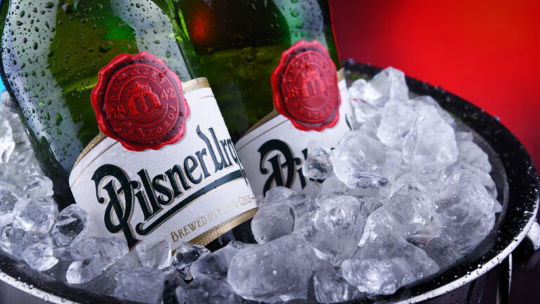 16 Best Pilsners to Drink