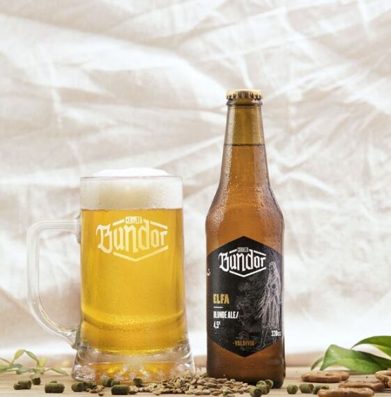 10 Best Chilean Beers to Try