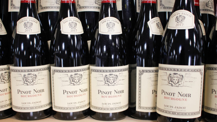 17 Best Oregon Pinot Noirs to Drink