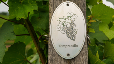 25 Best Tempranillo Wines to Try