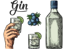 11 Different Types of Gin Explained