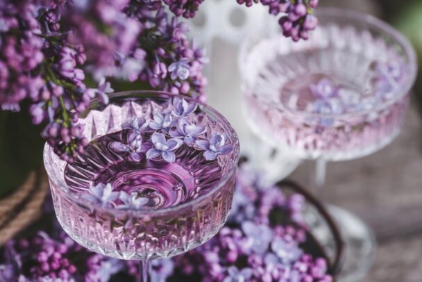 11 Best Edible Flowers for Cocktails