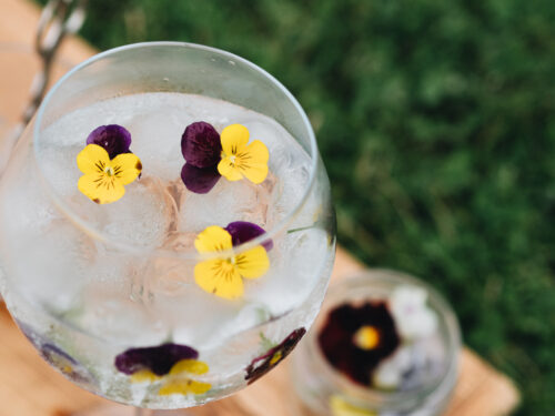 11 Best Edible Flowers for Cocktails