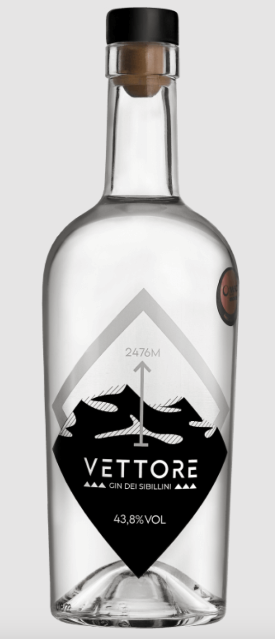 10 Best Italian Gins to Try