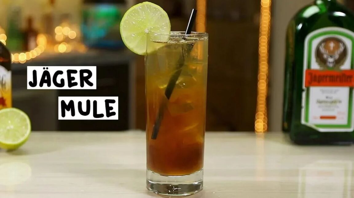 15 Best Jagermeister Cocktails to Drink
