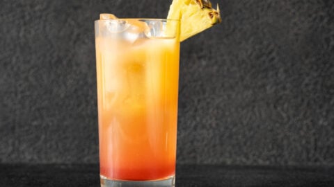 10 Best Malibu Cocktails to Try